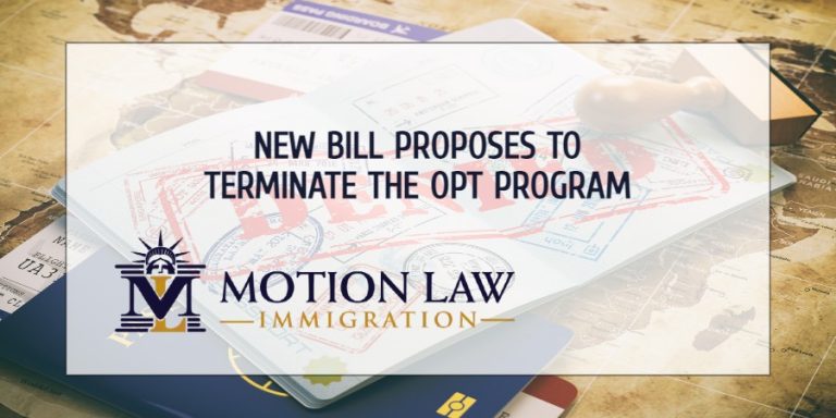 New Bill Proposes to Terminate the OPT Program | Motion Law