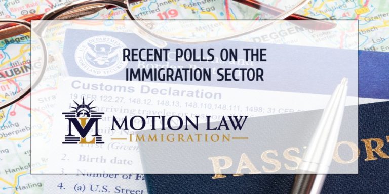 Recent Polls on the Immigration Sector | Motion Law